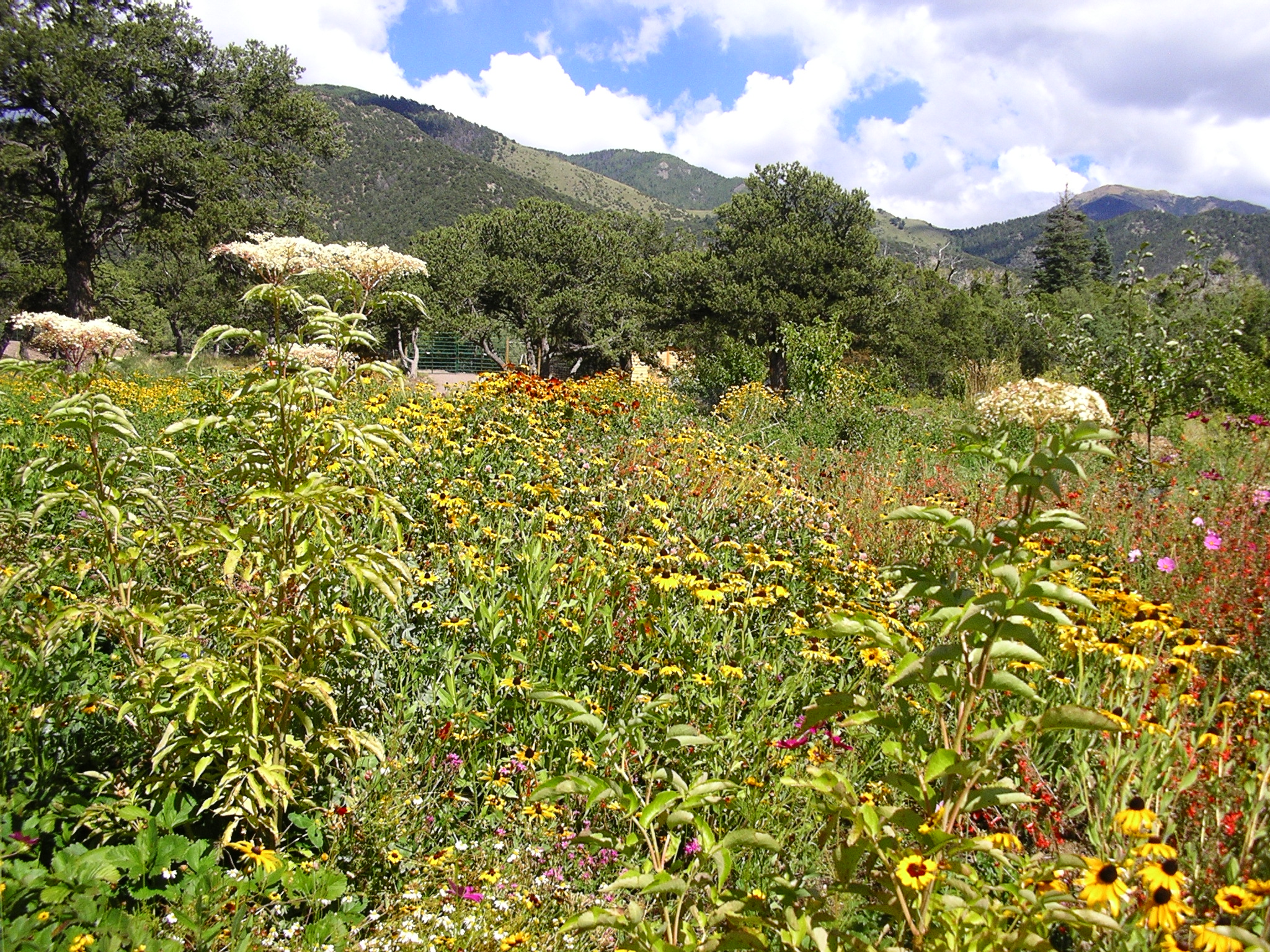 Welcome - Green Earth Farm